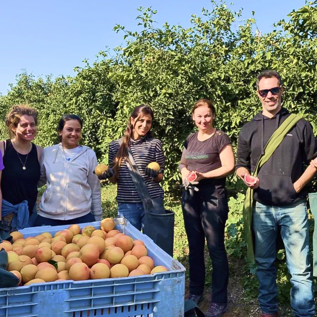 View Our Career Opportunities - Checkmarx