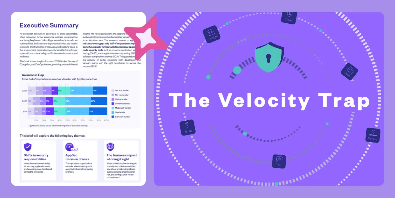 New report: The Velocity Trap: Balancing Speed and Security in the ...